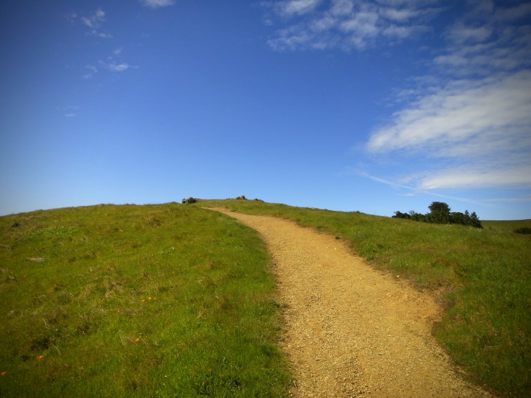 “Awakening to the Unobstructed Path: The Mystery of Our Taku’s 無礙之一道 ...