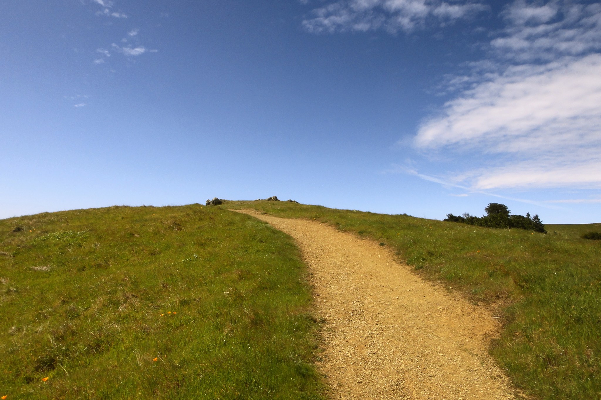 Growth and Gratitude: Finding Zen in the Uphill Climb – Hakone Zendo